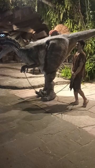 Пхукет 2025. Дино парк. Туристы снимают слона, а я снимаю тираннозавра.