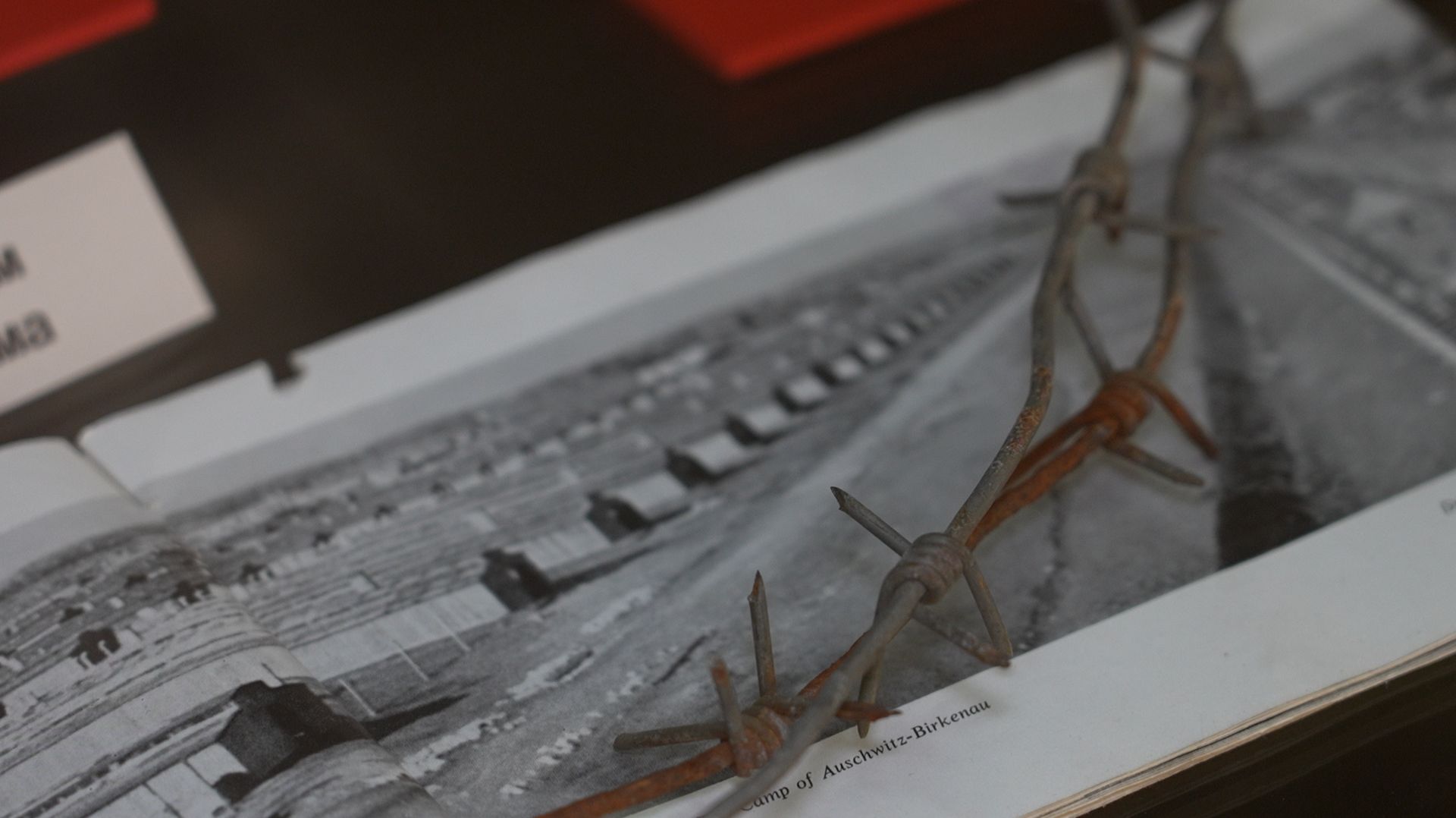 В кинотеатрах Ставрополья стартует показ военной драмы «Вальс со смертью»