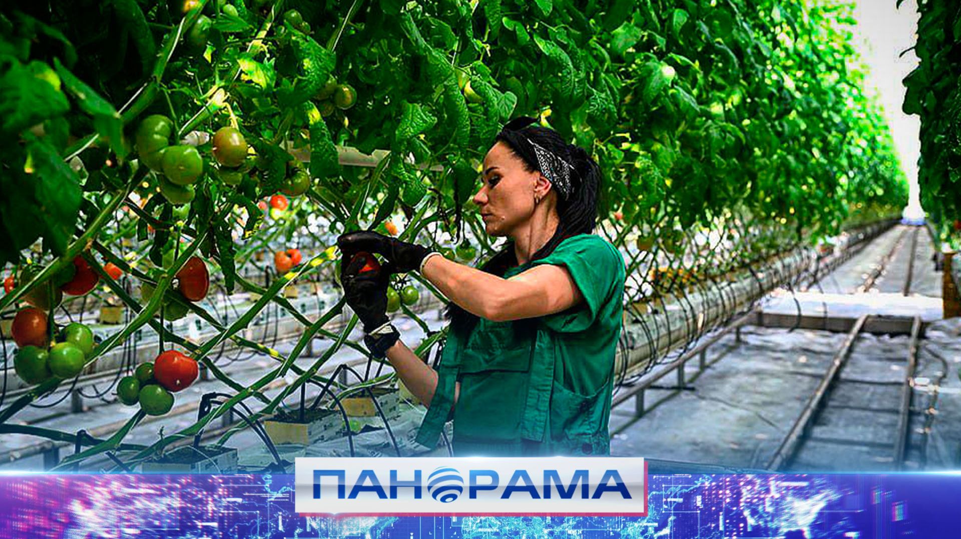 ⚡️ Во благо Донбасса: какие перемены ждут сельские территории?