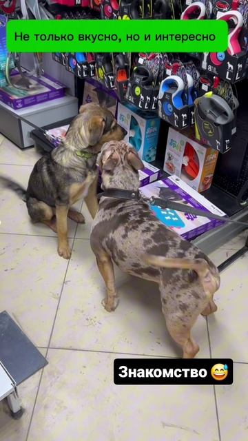 Знакомство 😅