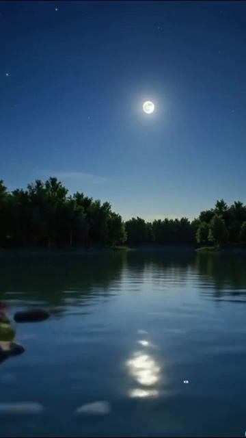 #katyboro #видео #видеооткрытка #топ #врек #реки #viral #рекомендации #2026 #врекомендации #video