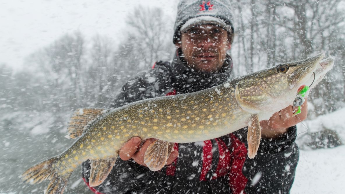 Снежная пурга как на Камчатке, как поймать щуку на джиг в эту погоду? Зимний спиннинг. [Пора ловить]