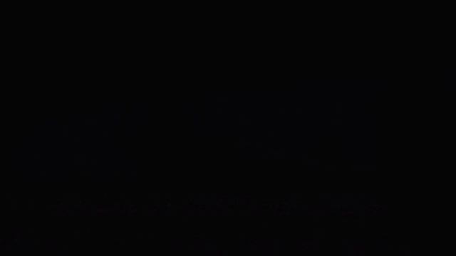 Литвяк - 2026 (02)