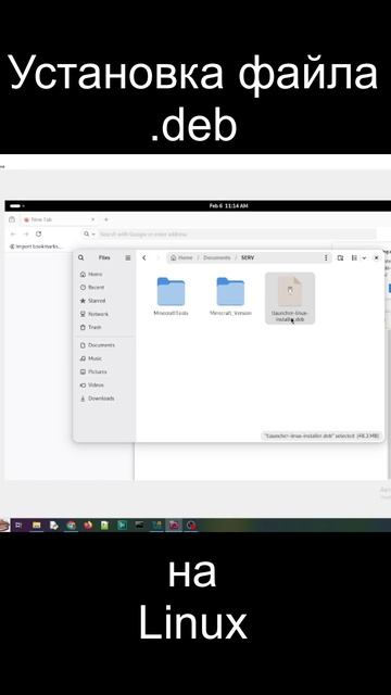 Установка приложения с расширением Deb на Linux