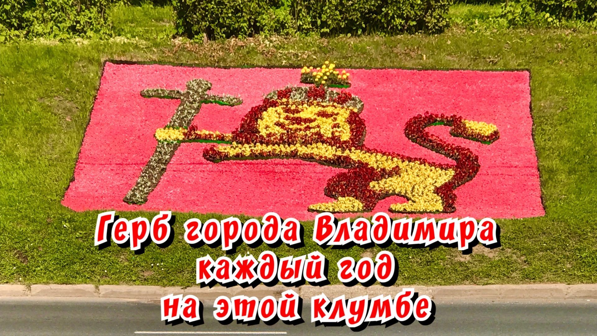 Герб города Владимира каждый год на этой клумбе / Архив от 06.06.2023