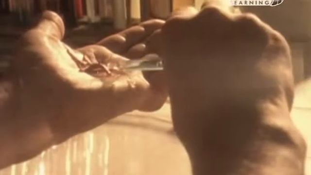 30. Иммунная система. Пауль Эрлих и Илья Мечников