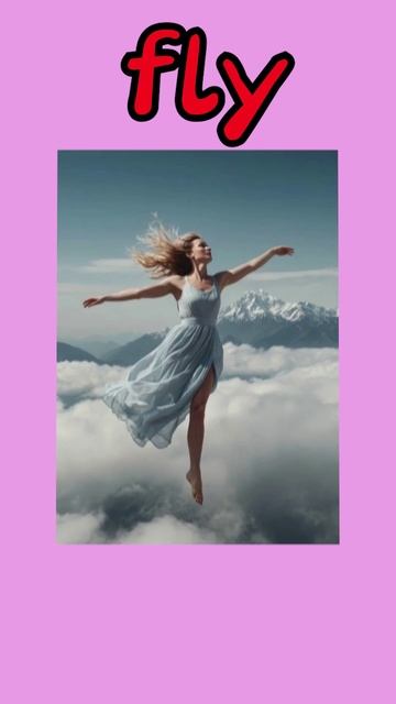 FLY летать