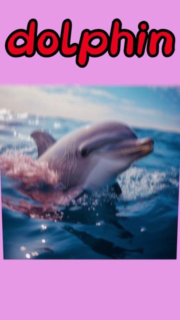 DOLPHIN дельфин