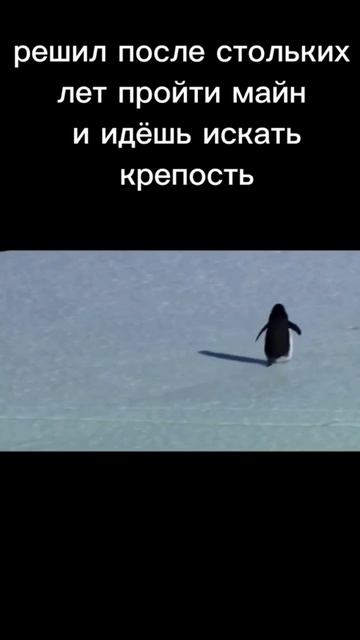 ещё больше мемов на канале #майнкрафт #minecraft #мем #shorts