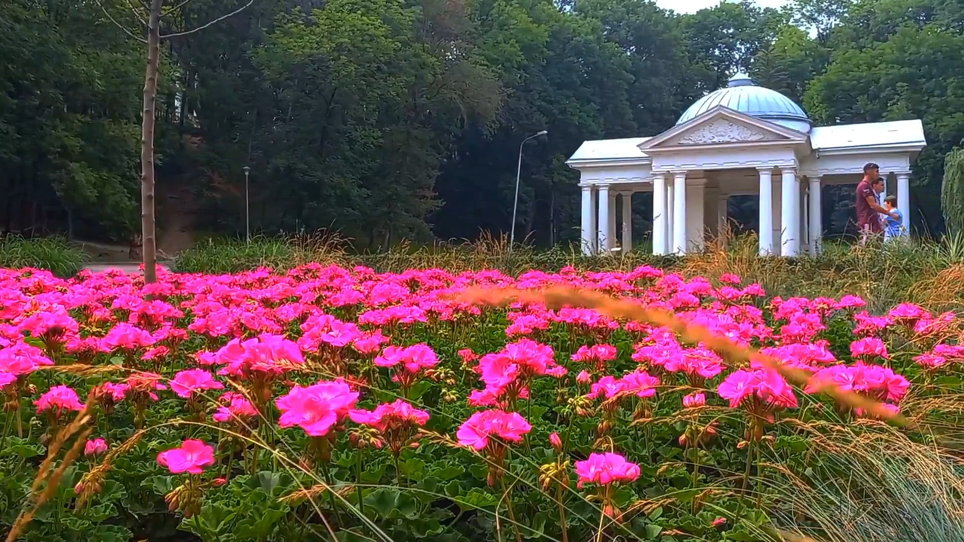 Ессентуки Курортный парк 2021