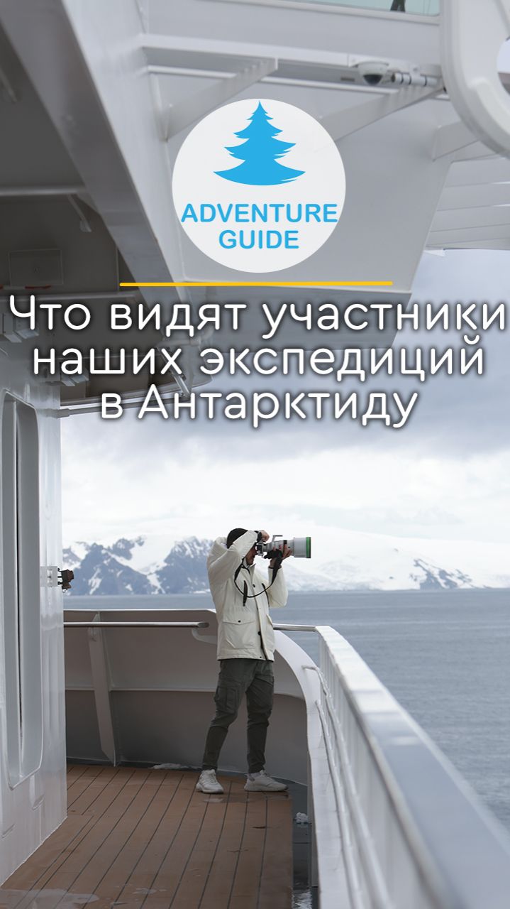 Что видят участники наших экспедиций в Антарктиду