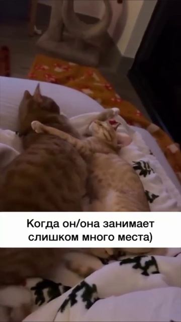 Спихнул с любовью