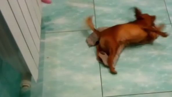 Бесплатные Клининг-услуги