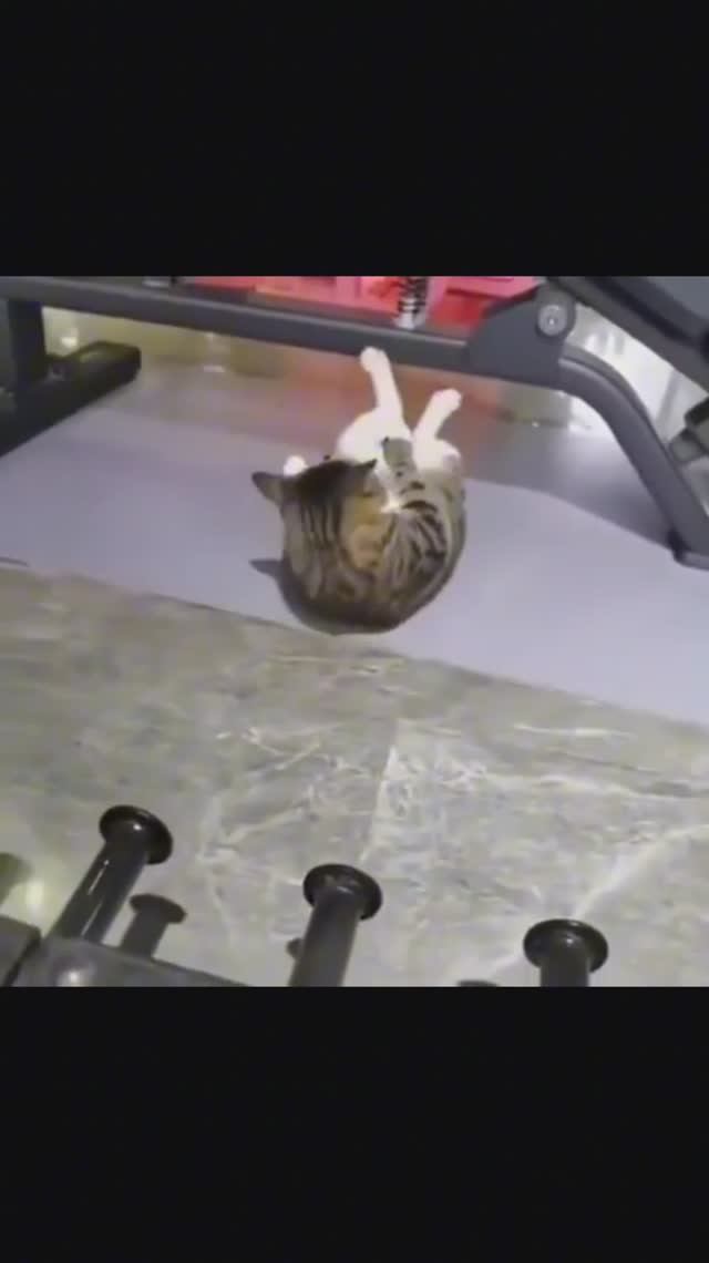 Ему не может все сходить с рук