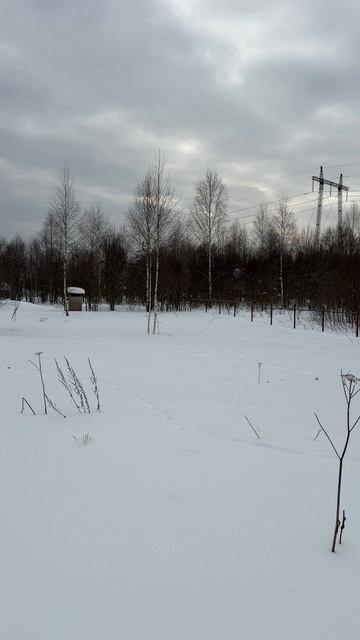 Продается участок 19.8 сотки с электричеством в д. Марино, рядом с г. Александров Владимирской обл.