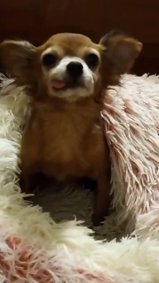 С добрым утром!