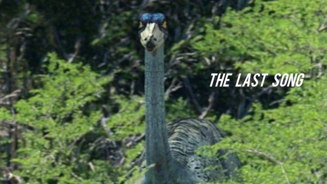 12 Stones - The Last Song