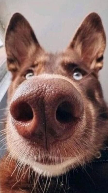 Ужасы от ИИ.