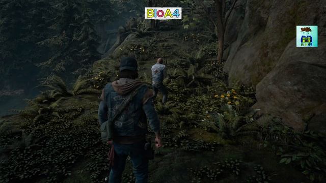 Days Gone. Призы в игре.