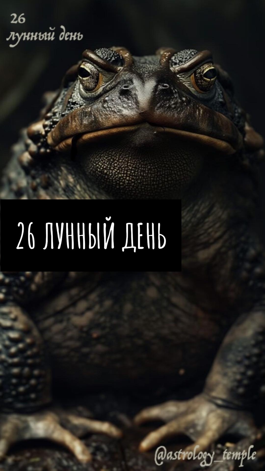 📅 ПТ, 13.02.2026 🌛 26 лунный день | Убывающая Луна в Козероге 🪄