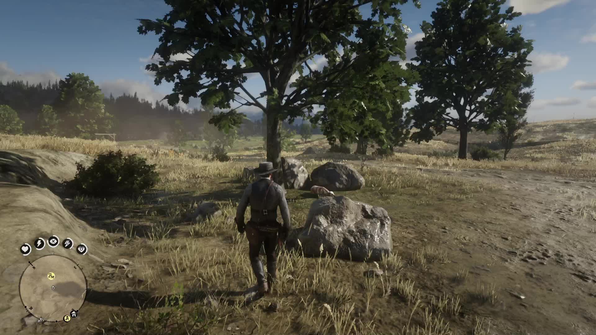 Добряк/зляк. Qpnc. №029 Red Dead Redemption 2