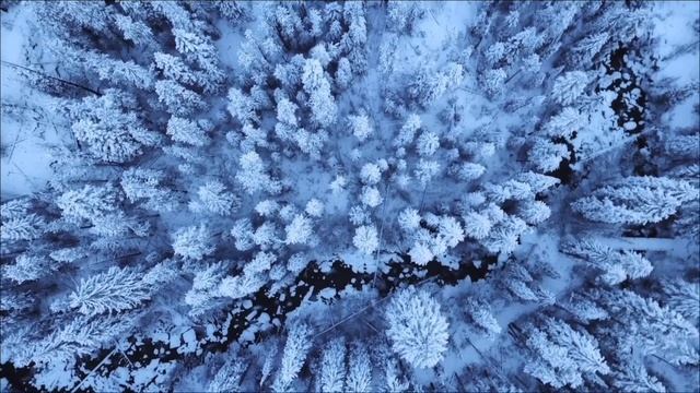 3 Фразы - Которые сразу выдают вашего врага.