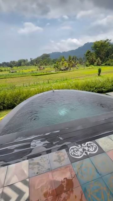 Когда хочется жить сейчас🍀🍀🍀