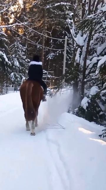 Снежной зимой да на лошадке!