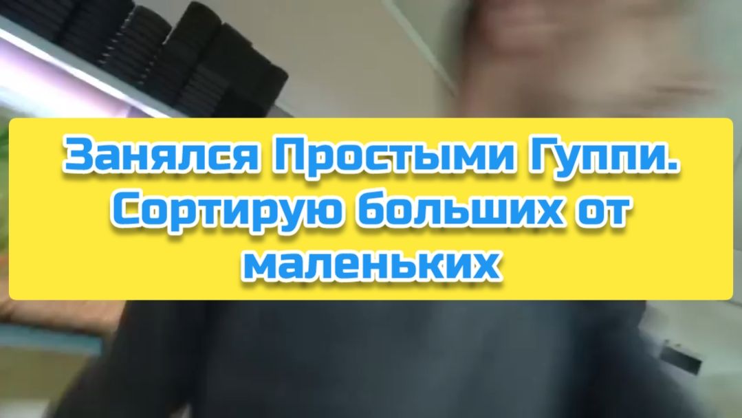 Занялся Простыми Гуппи. Сортирую больших от маленьких