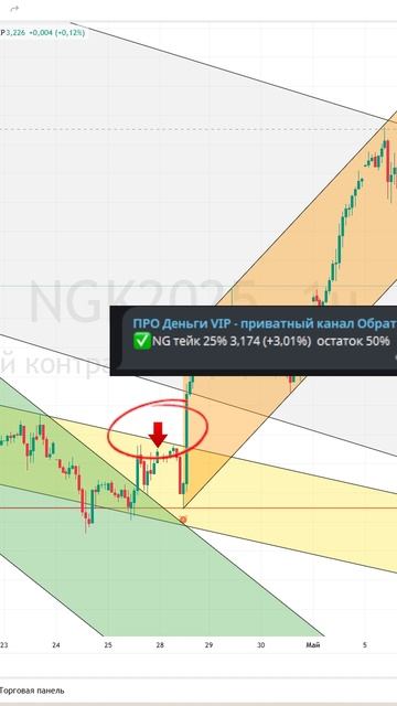 Натуральный газ