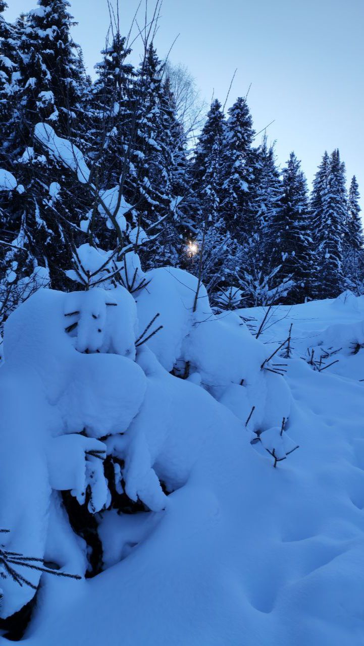 Покатушки на ватрушке по зимнему лесу. Тюбинг в Кирове