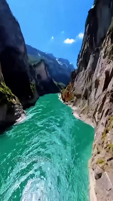 Подбежала и прыгнула