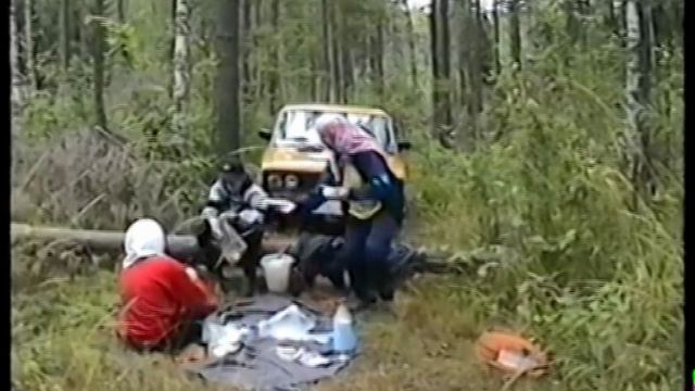 Жили были мы.  Лес Телеши, Артемка.  Смоленский Олень. Грибы ТСЖ в городе.