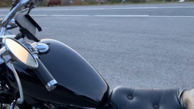 Визуальный обзор Honda Steed 400 92'