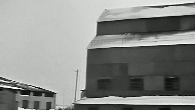 1979 год. Исетский район. Совхоз "Коммунар"