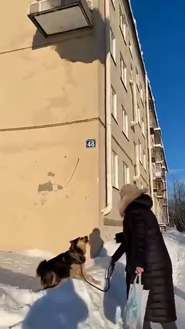 Моментальная карма! Камчатка!