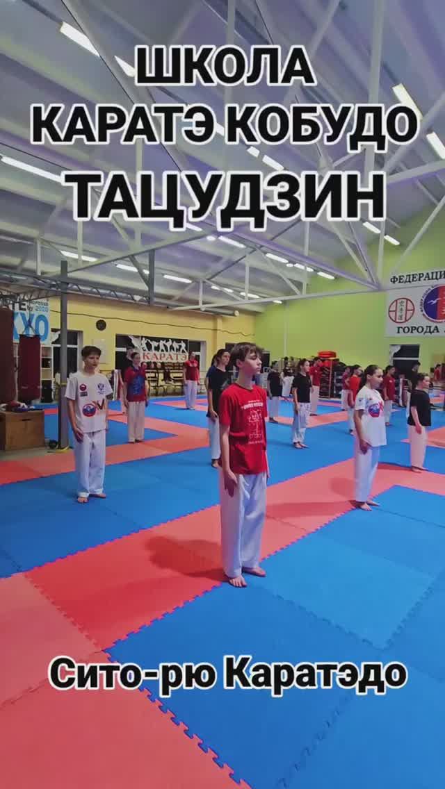 Ката Бассай Дай. Школа Каратэ Кобудо Тацудзин