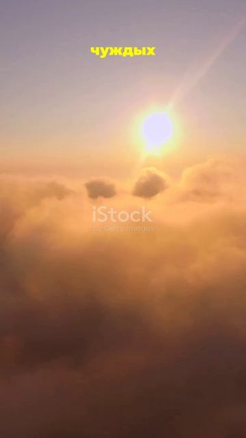 2 минуты, что тронут сердце: Псалмы 18–19 #Псалмы #Христианство #Shorts #Молитва #психология #книги