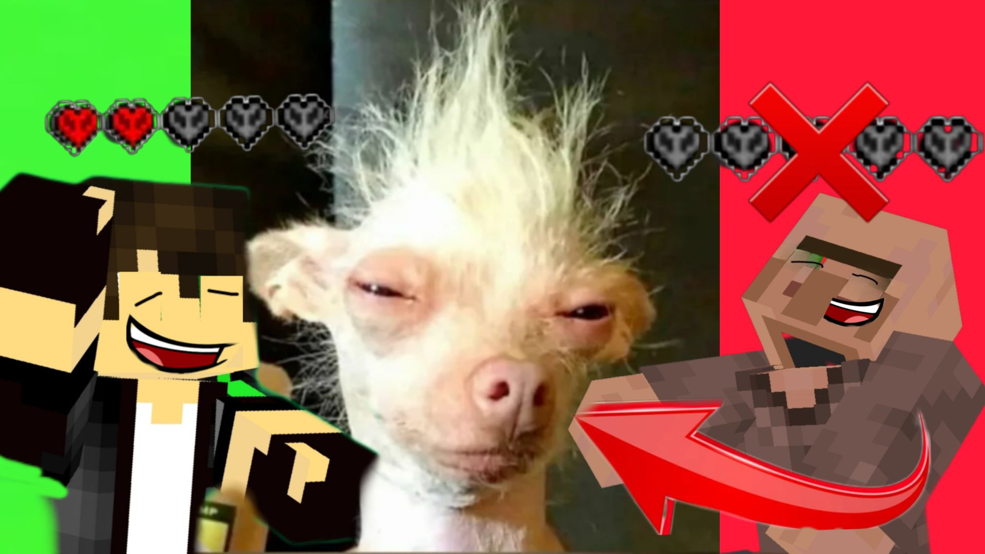 Попробуй НЕ засмеятся #2 С ЖИТЕЛЕМ!!! |КОРОЛИЗАЦИЯ