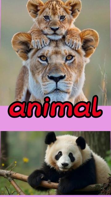 ANIMAL животное