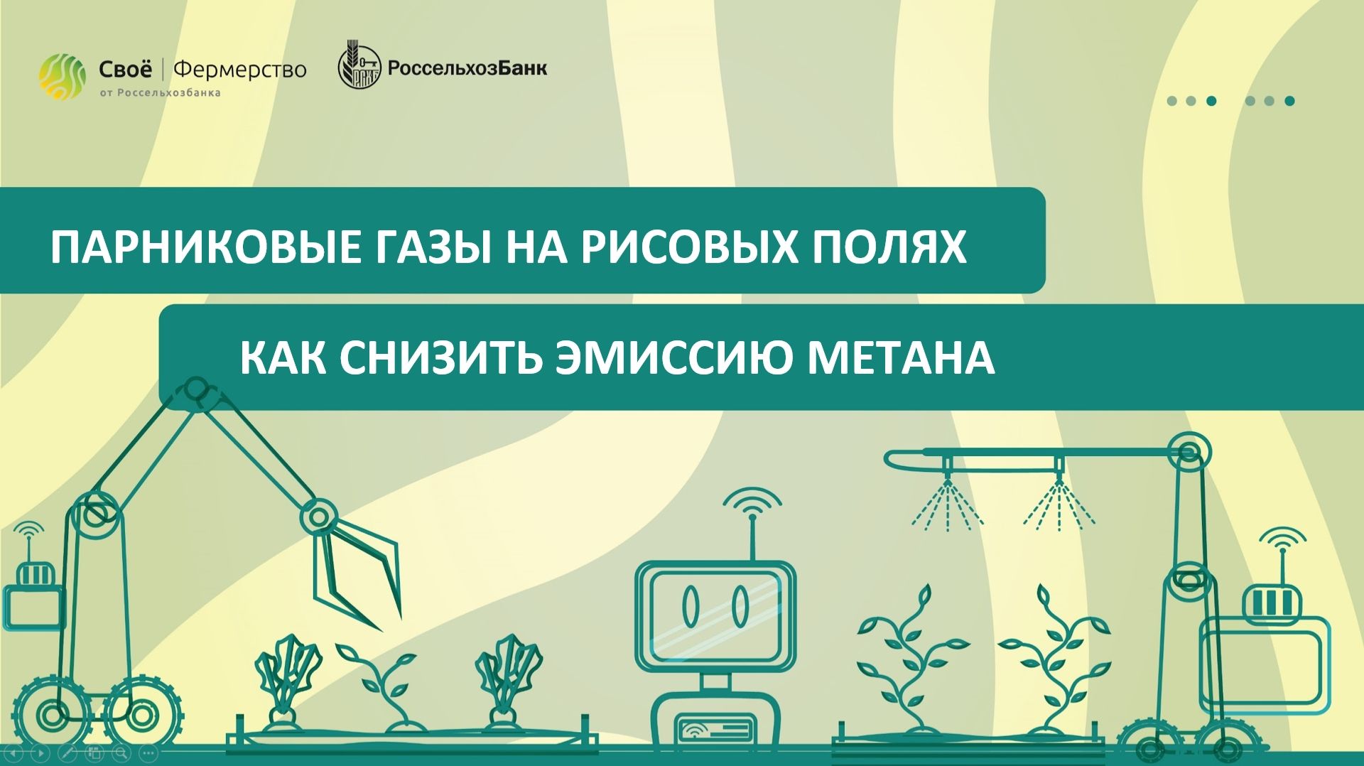 Парниковые газы на рисовых полях: как снизить эмиссию метана