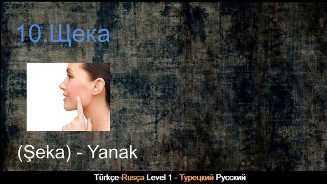 Temel Vücut Bölümleri (Части тела - Çasti tela) - 20 слов с турецкого на русский