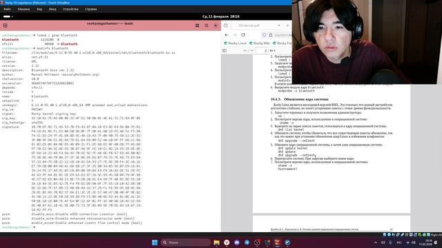 Лабораторная работа №10