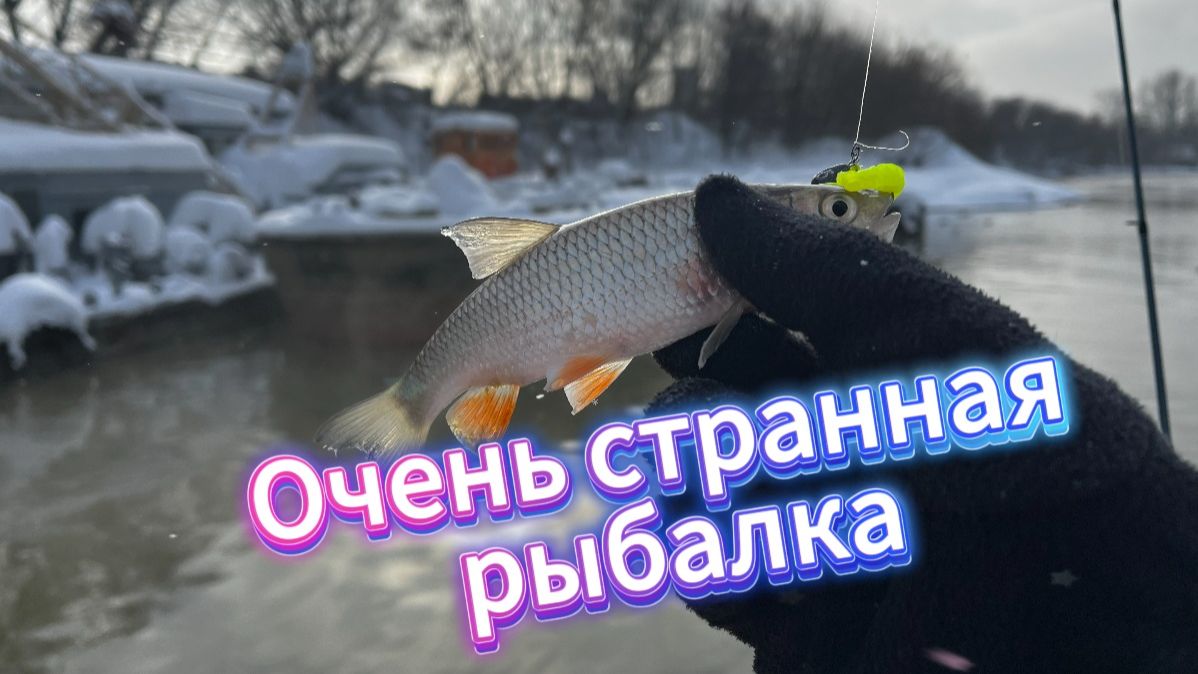 Секретное место без ветра! Зимний микроджиг на Москва-реке