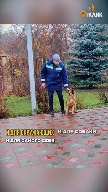 Жертва кровожадности хозяина.