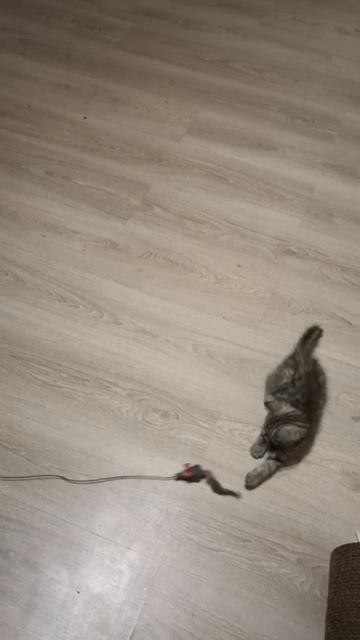 Полина и Гоша