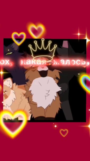 //Кленовница златошейка белка сумерчница остролистая и серебрянка//эдит