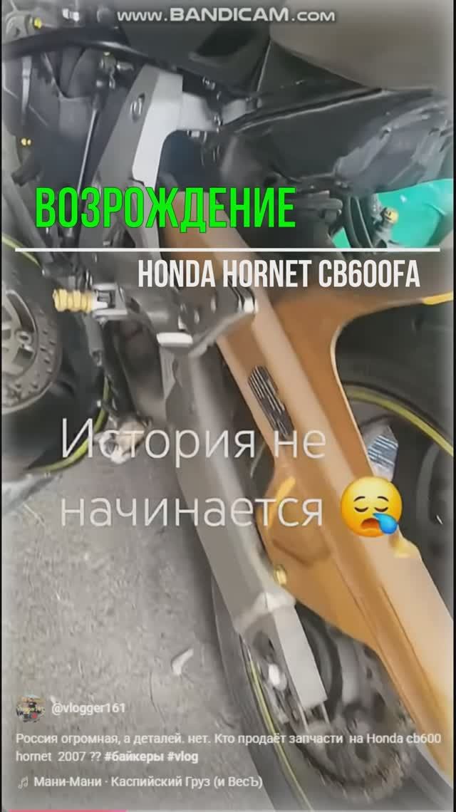 возрождение 1. #honda #hornet #cb600f  @vlogger161   #moto #motovlog #топ #мото #моторостов #rostov