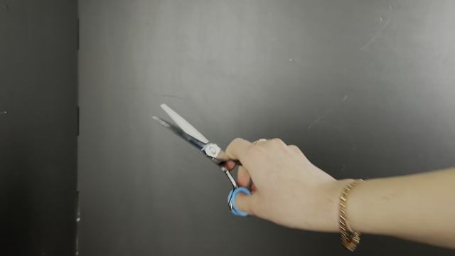 Набор из 2-х ножниц в чехле для новичков, мастеров