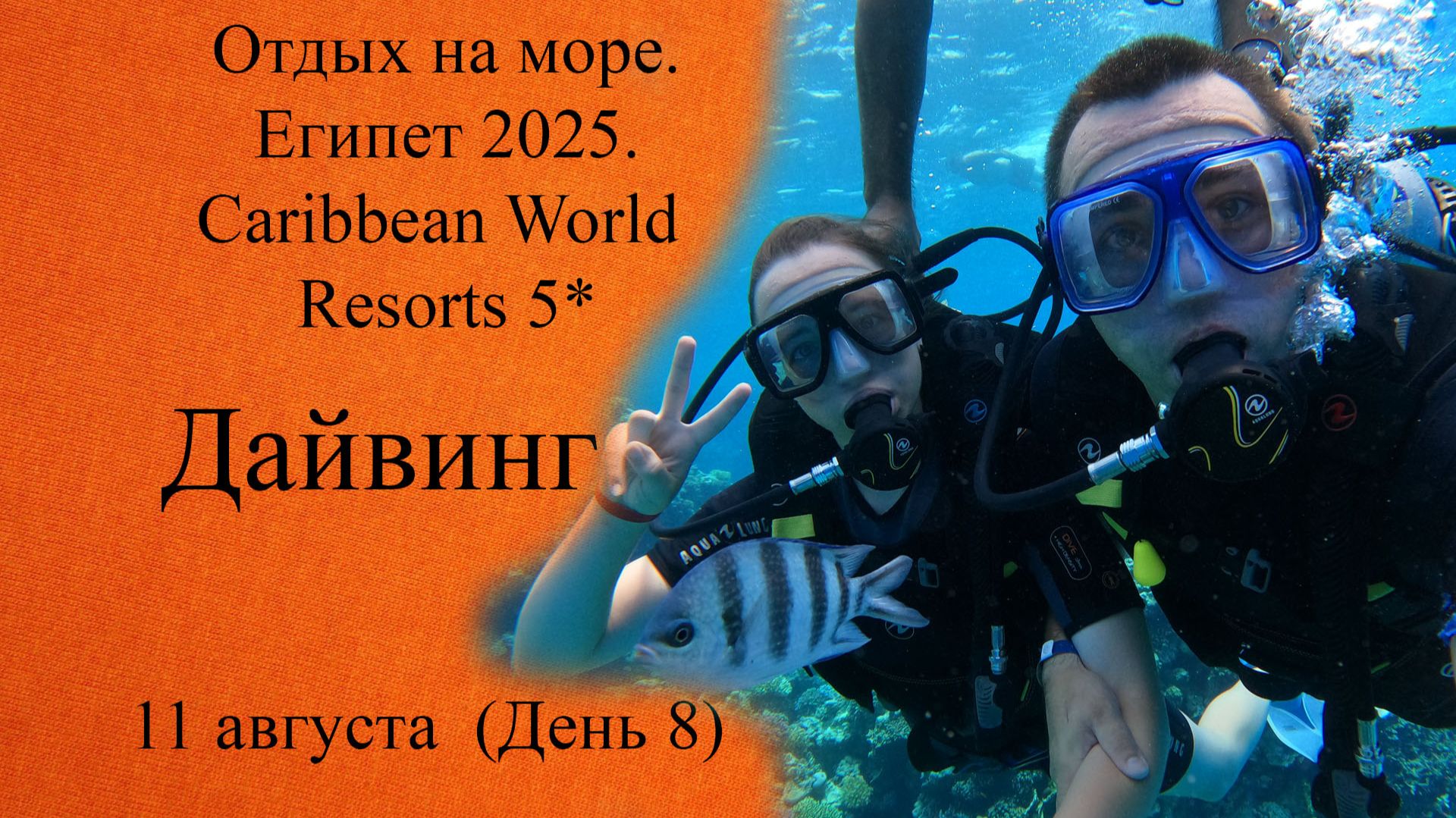 Отдых на море "Египет 2025". Часть 8. Дайвинг. "Caribbean World Resorts 5*"